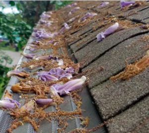 Amerimax Home Products Hoover Dam Pro Gutter Guard - Gutter Help