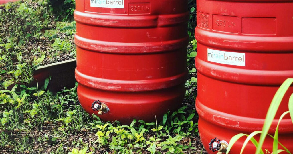 Garden watering with recycled rainwater collection barrels - Gutter Help